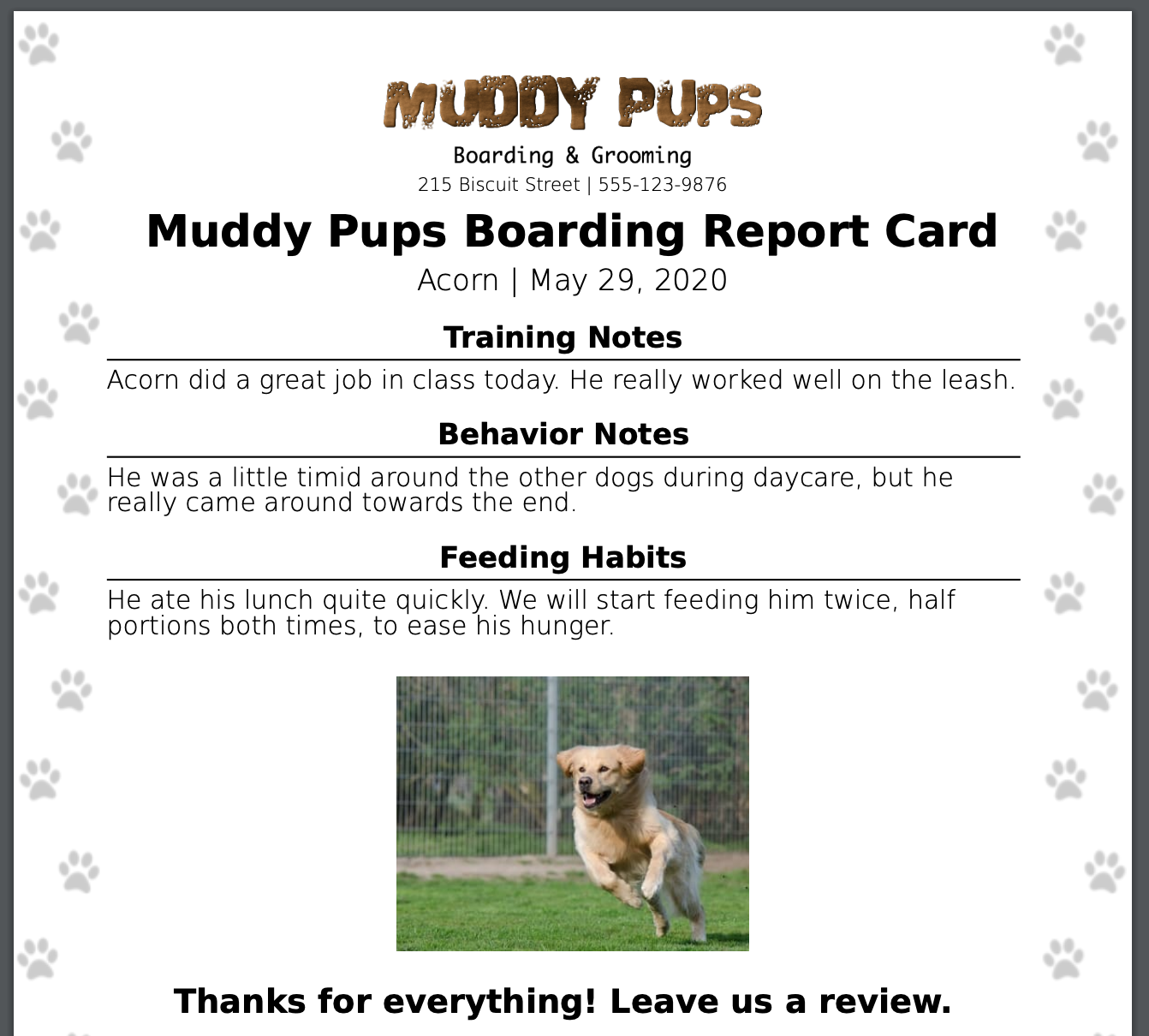 Fully Customizable Pet Report Cards