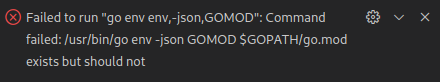 inferGopath - $GOPATH/go.mod exists but should not · Issue #1663 · golang/vscode-go · GitHub