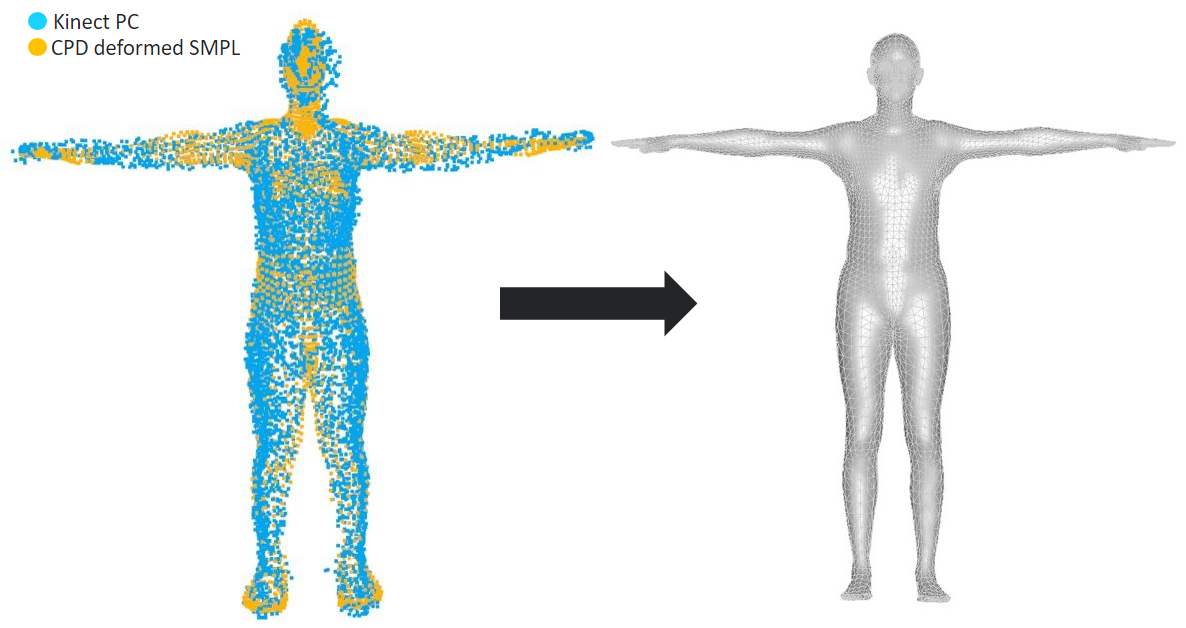 GitHub - EmmaRYoung/PredictionOfBodyShape_SMPL: Thesis (in progress ...