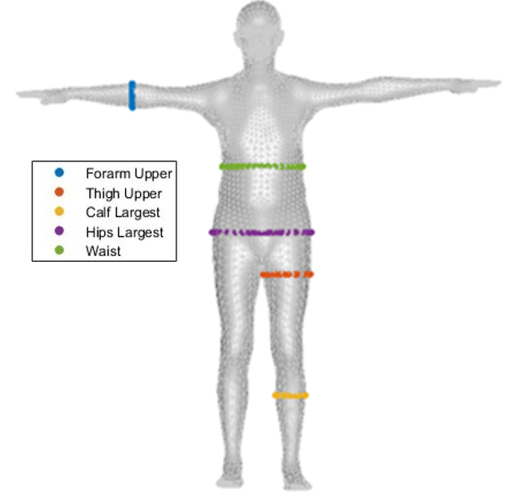 GitHub - EmmaRYoung/PredictionOfBodyShape_SMPL: Thesis (in progress ...