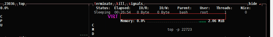 Virtual memory usage information of process · Issue #471 · aristocratos/btop · GitHub