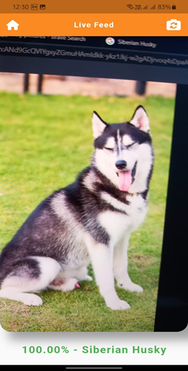 GitHub - thisiskritartha/Dog-Breed-Classification: Dog breed Classification using CNN ...