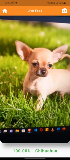 GitHub - thisiskritartha/Dog-Breed-Classification: Dog breed Classification using CNN ...