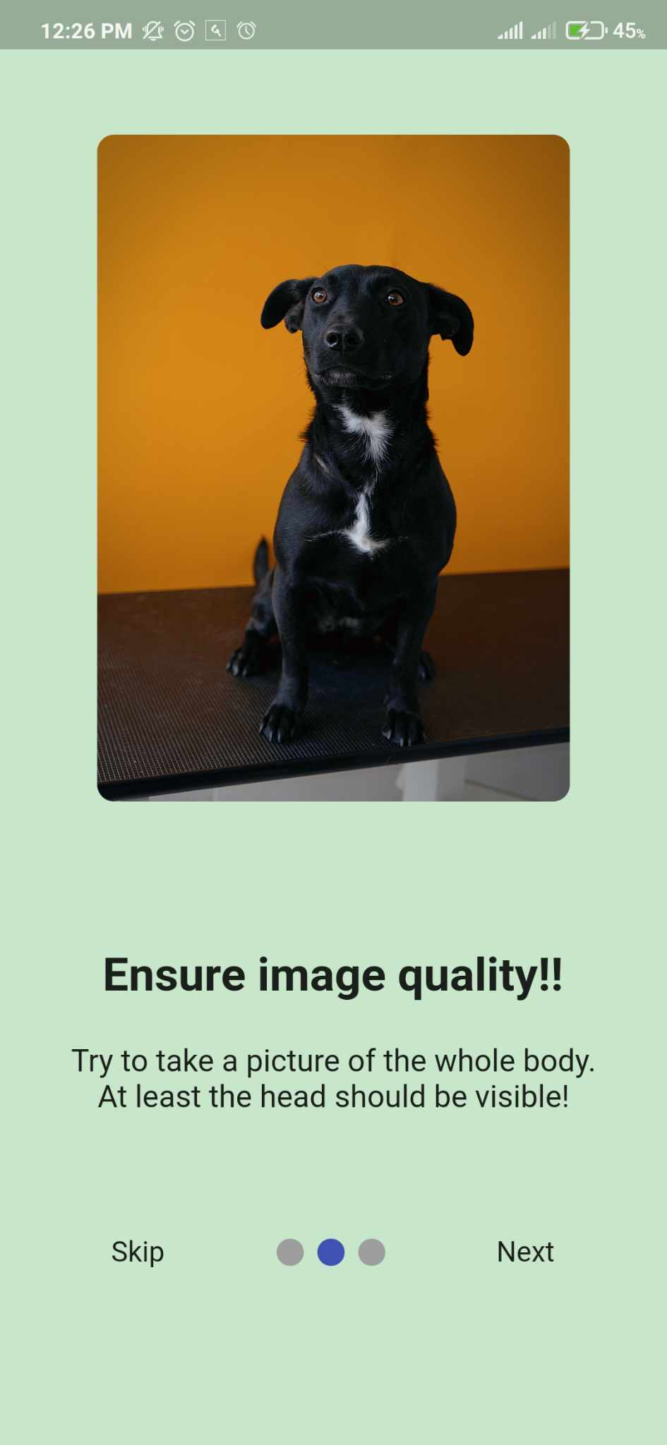 GitHub - thisiskritartha/Dog-Breed-Classification: Dog breed Classification using CNN ...