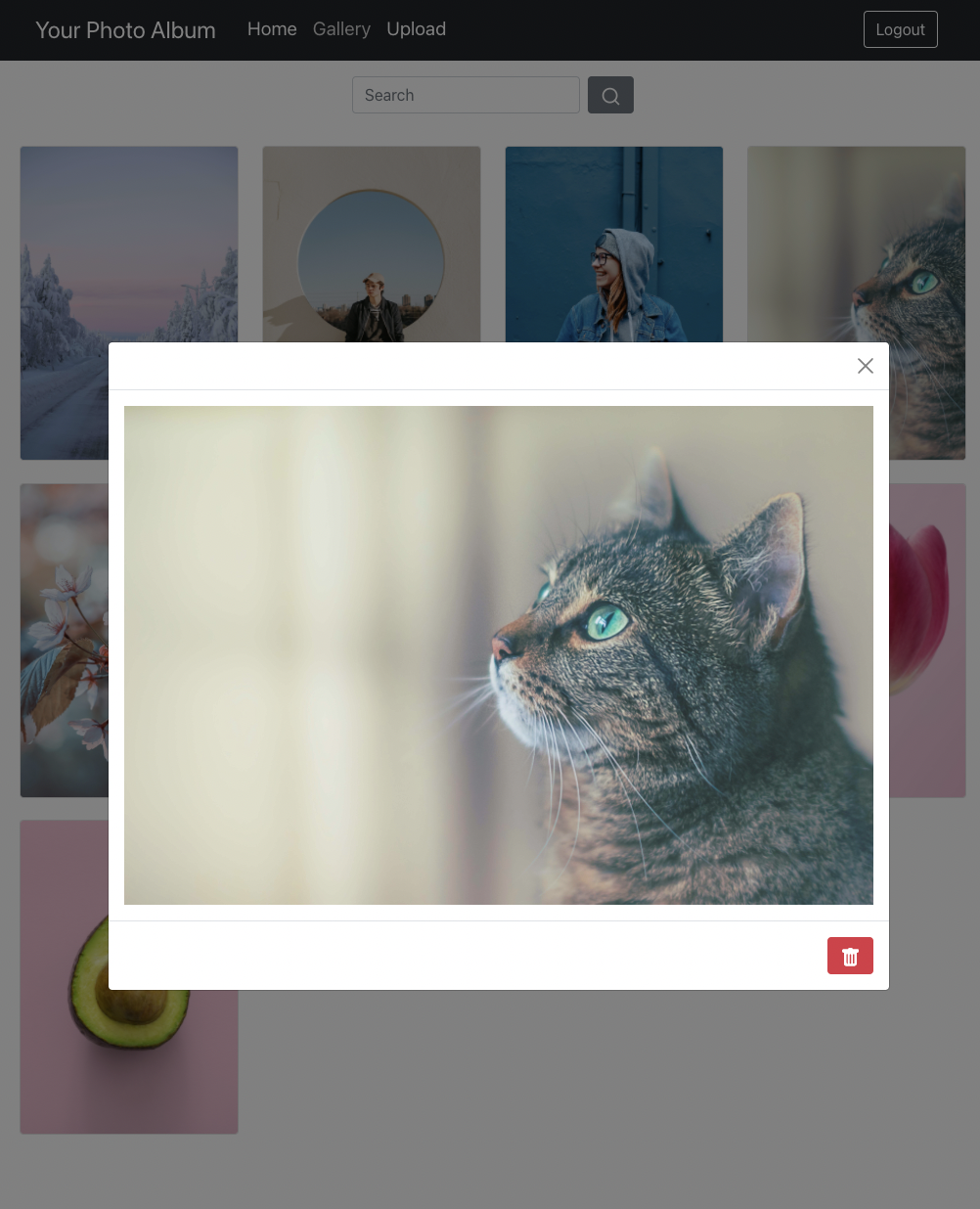 GitHub - Lada496/your-photo-album