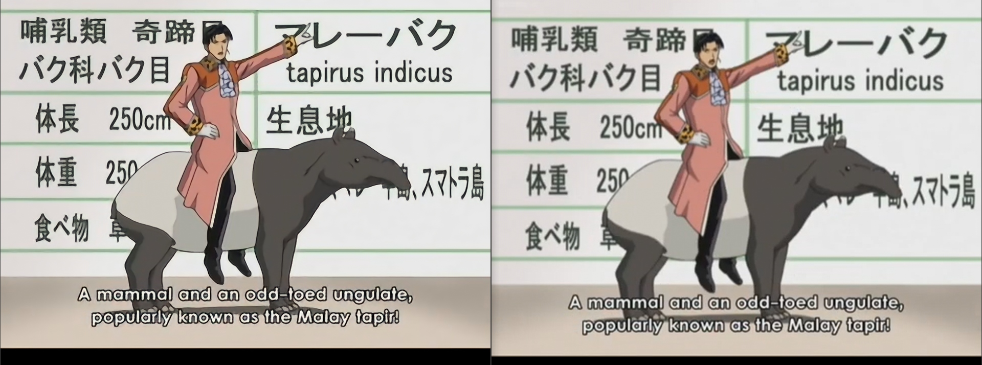 Glsl Shaders Not Working · Issue 780 · Celluloid Playercelluloid · Github