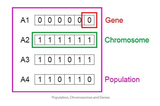 GitHub - Elma-dev/GA_using_SMA