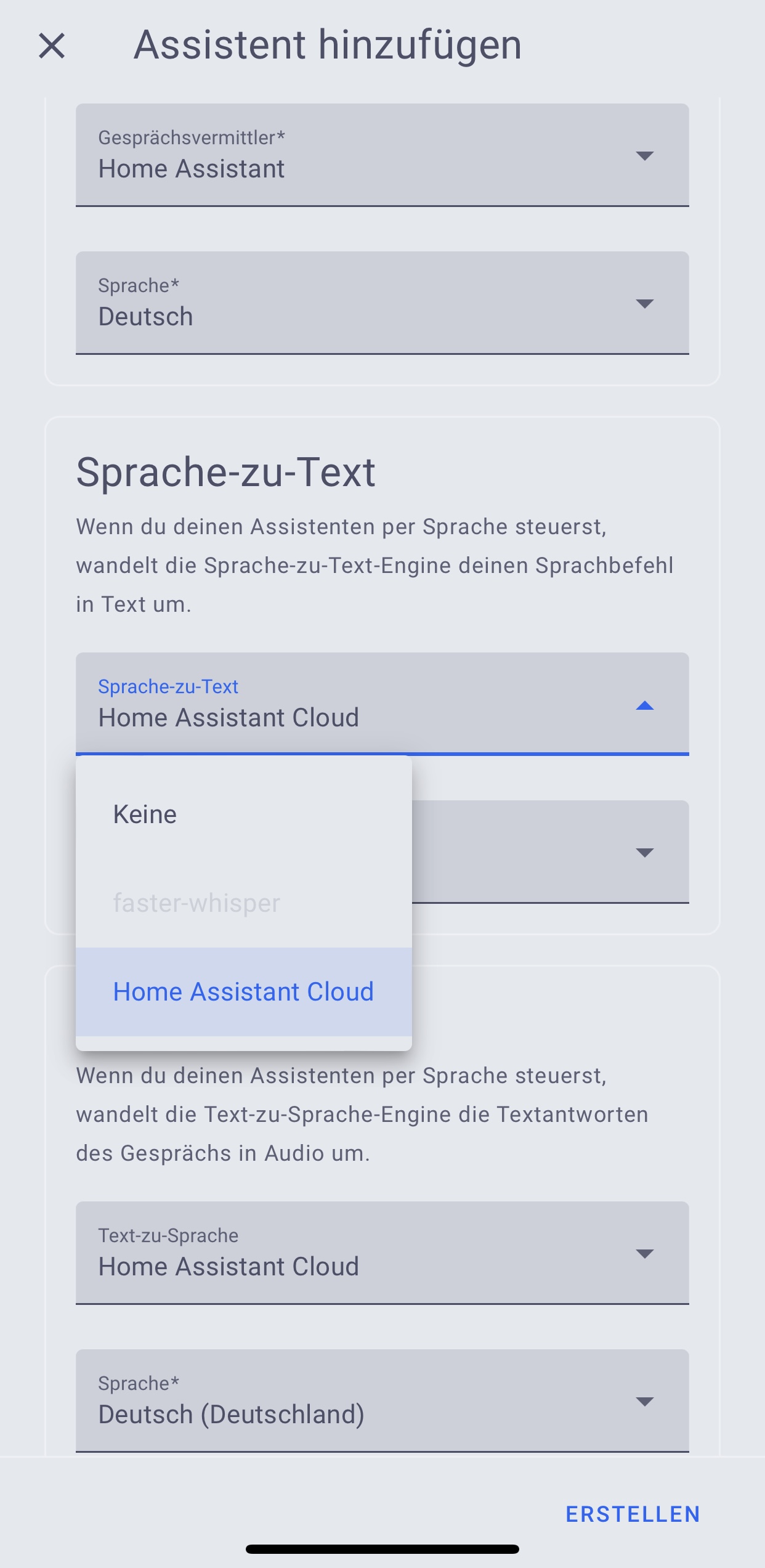 Cant select installed Piper or Whisper · Issue #16422 · home-assistant ...