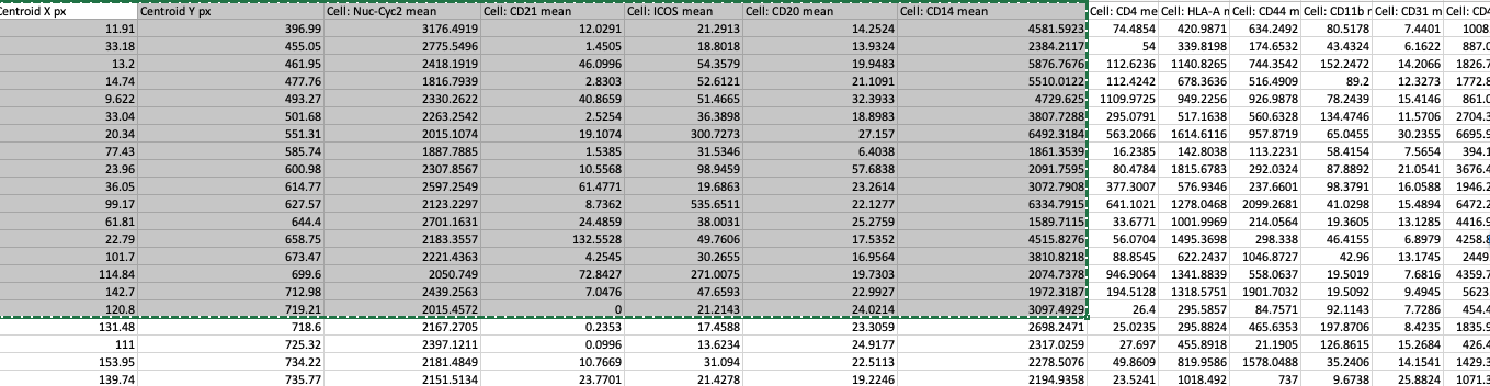 Running Own Dataset With Qpath Output Codex Using Squidpy · Issue 640 · Scversesquidpy · Github