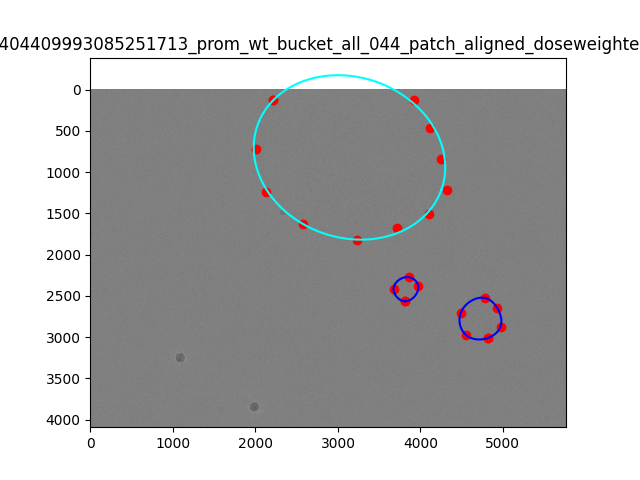 GitHub - tribell4310/vesicle-quantification: Quantification of vesicle size and deformation in ...