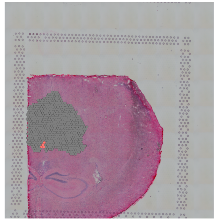 crop = FALSE not functioning correctly for SpatialFeaturePlot · Issue #4394 · satijalab/seurat ...