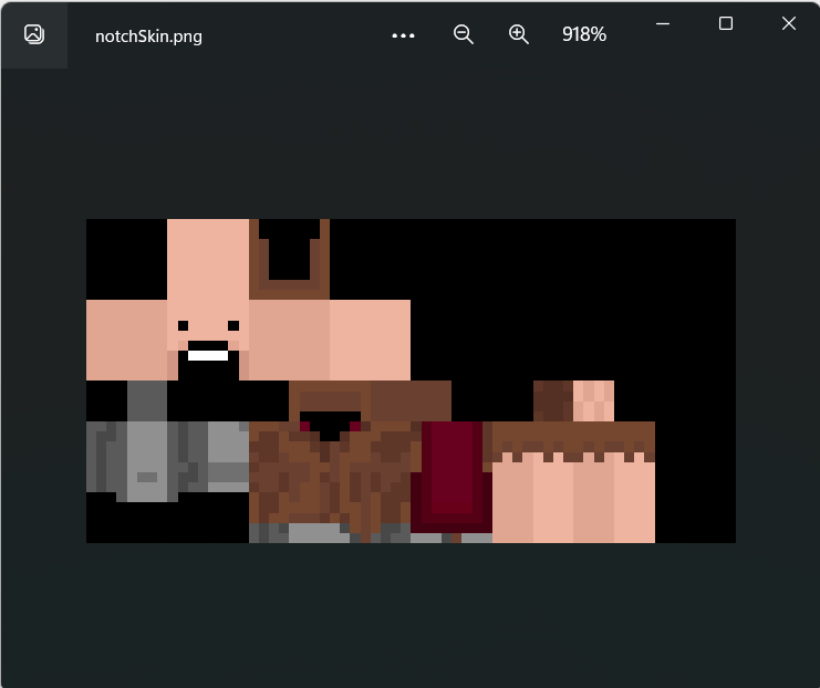 GitHub - liammarcovitz/MC-Skin-Searcher: Desktop app to fetch the skin ...