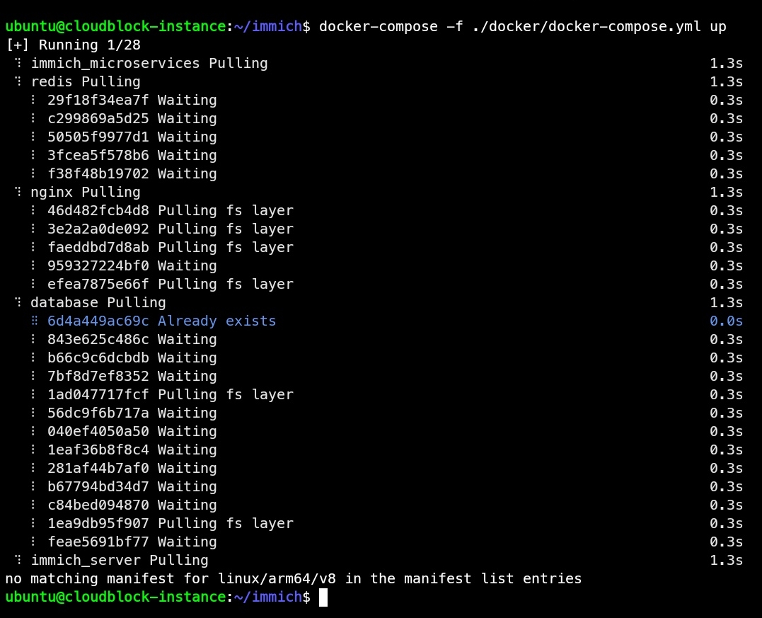No matching manifest for linux/arm64/v8 · Issue #135 · immich-app/immich · GitHub
