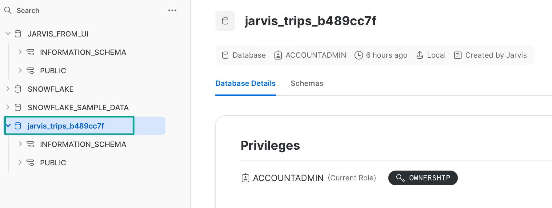 Snowflake database not accesible · Issue #164 · pulumi/pulumi-snowflake · GitHub