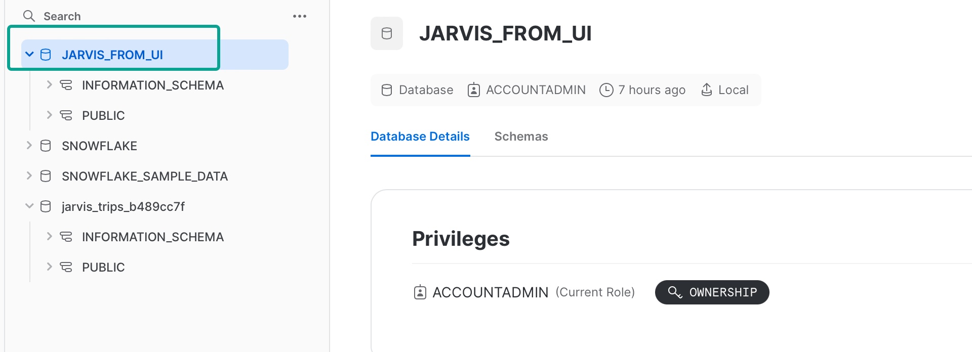 Snowflake database not accesible · Issue #164 · pulumi/pulumi-snowflake · GitHub