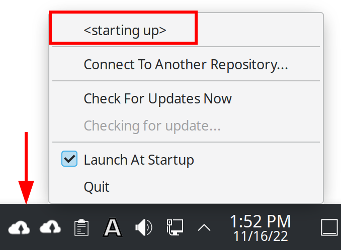 two kopia tray icons and blank kopia UI window in KDE when I enabled the "Launch At Startup" and ...