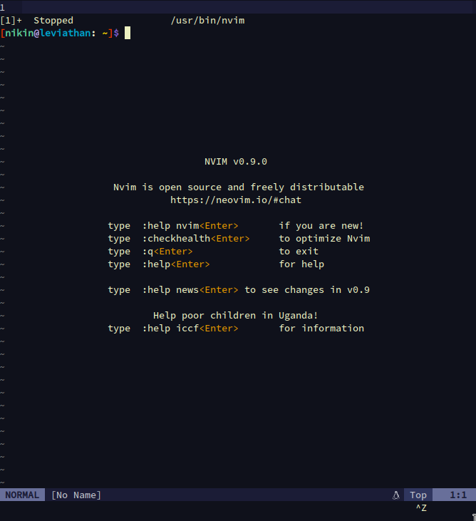 missing cursor restore for terminals without altscreen · Issue #23361 · neovim/neovim · GitHub