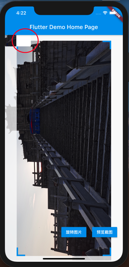 切图不正确 · Issue #238 · fluttercandies/extended_image · GitHub