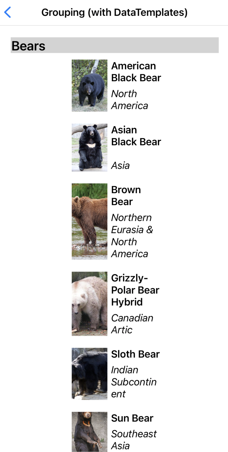 [Bug] Collection View items look centred even when span specified is 2 ...