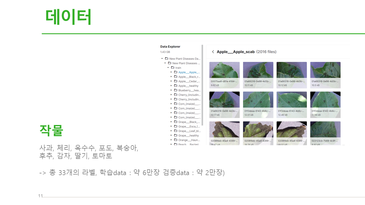 GitHub - jihyoung-lee/Plant_Disease_Detection_Classifier: 딥러닝을 이용한 병해충 피해 판별 시스템(AI Model)