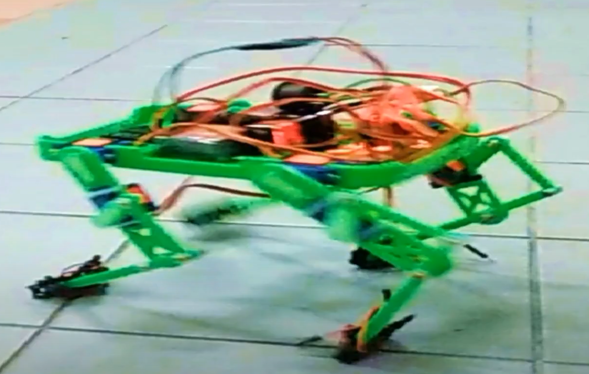 Github Phirom Hue Mammal Type Quadruped Walking Robot