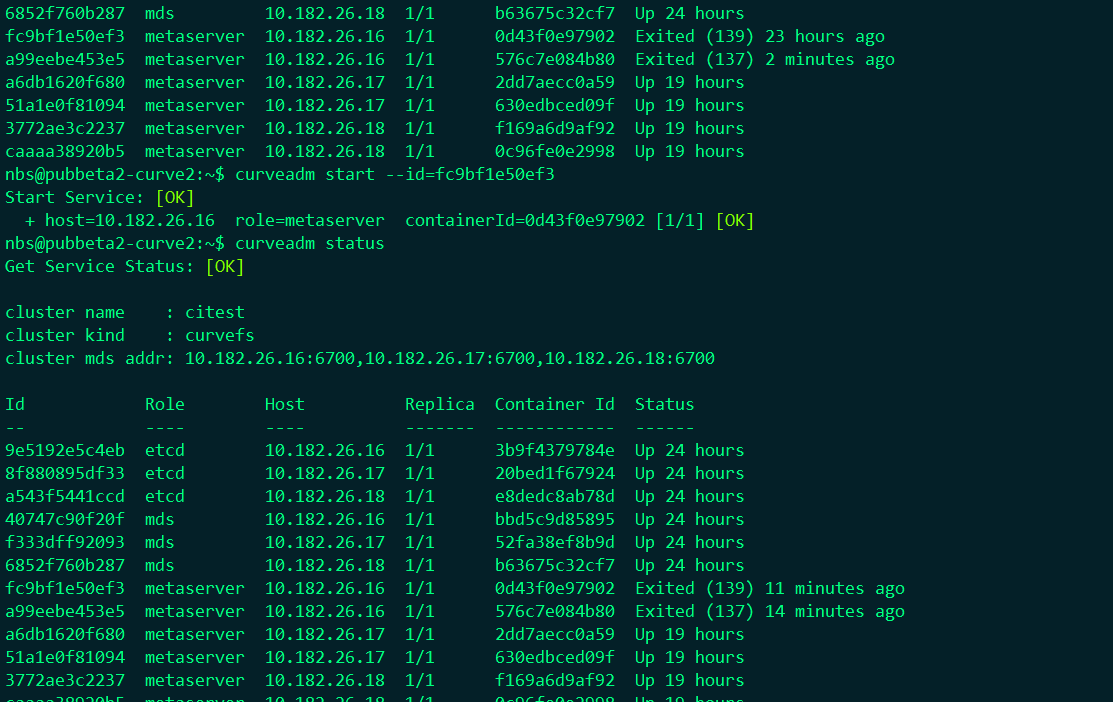 After the metaserver stops for a period of time, it starts and automatically exits · Issue #1155 ...