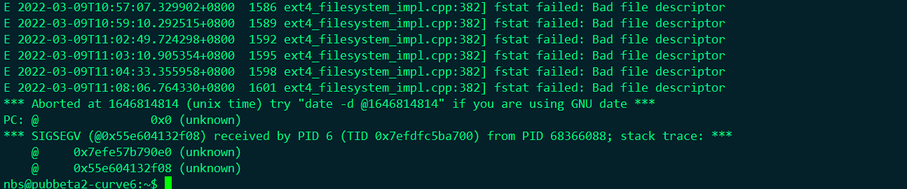 After The Metaserver Stops For A Period Of Time It Starts And Automatically Exits · Issue 1155
