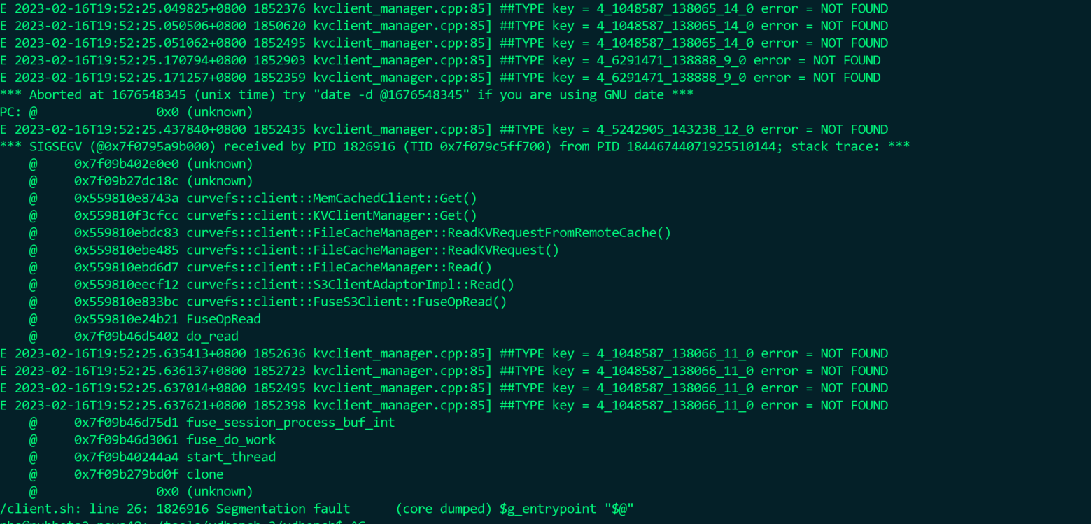 Core dump occurs during data reading and writing at the FUSE mount point. · Issue #2250 ...