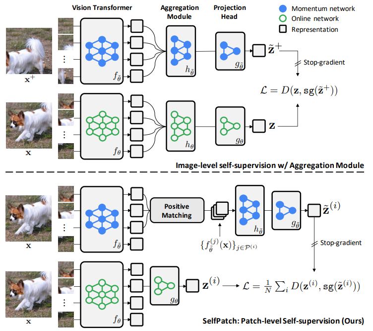 Patch Level Representation Learning For Self Supervised Vision 