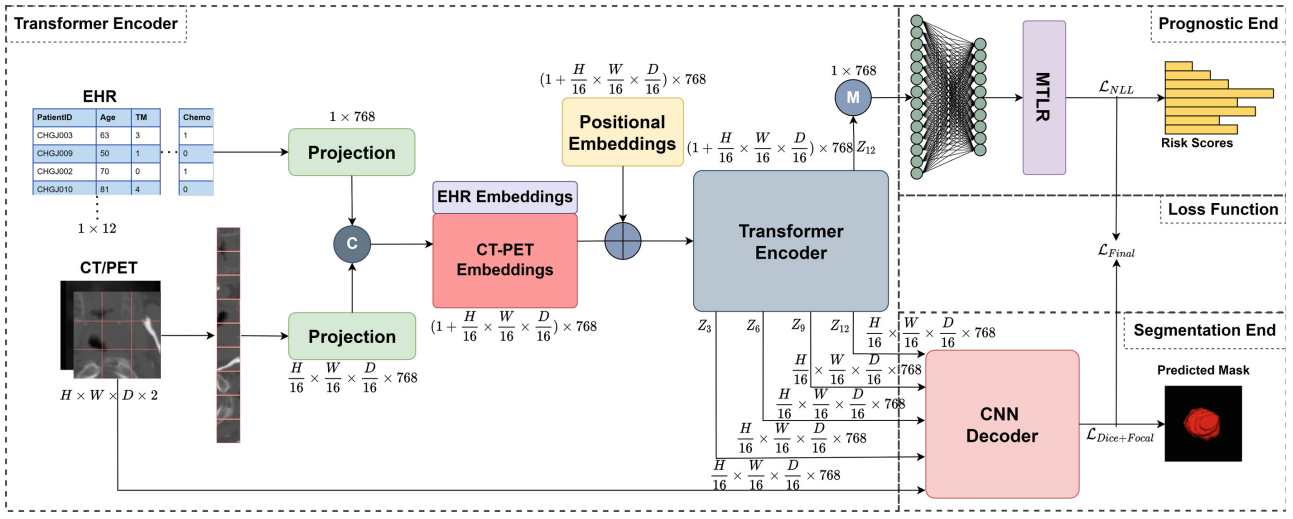 TMSS: An End-to-End Transformer-based Multimodal Network for Segmentation and Survival ...