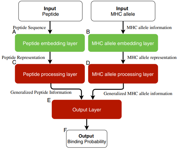 MHCSeqNet: a deep neural network model for universal MHC binding prediction · Issue #320 · One ...