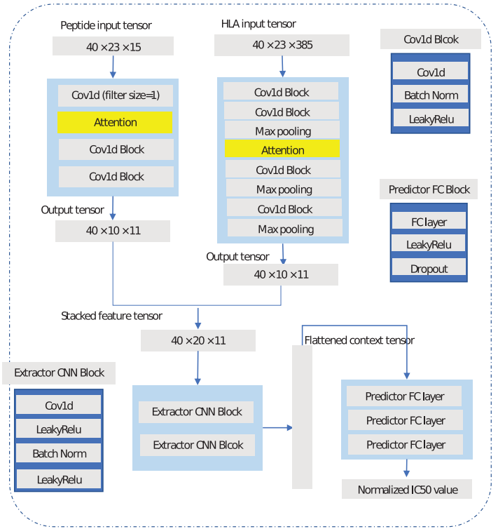 Deep learning pan-specific model for interpretable MHC-I peptide binding prediction with ...