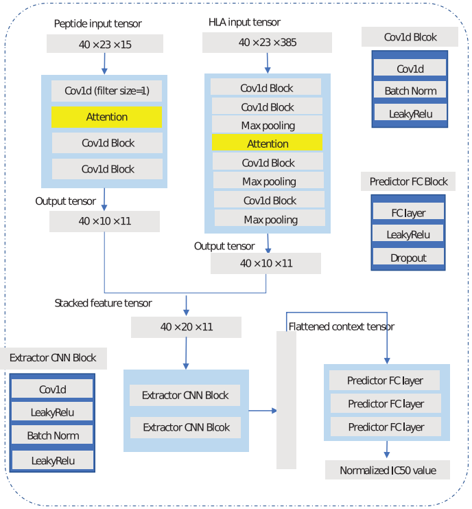 Deep learning pan-specific model for interpretable MHC-I peptide binding prediction with ...