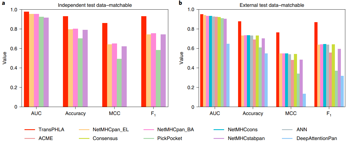A transformer-based model to predict peptide–HLA class I binding and optimize mutated peptides ...