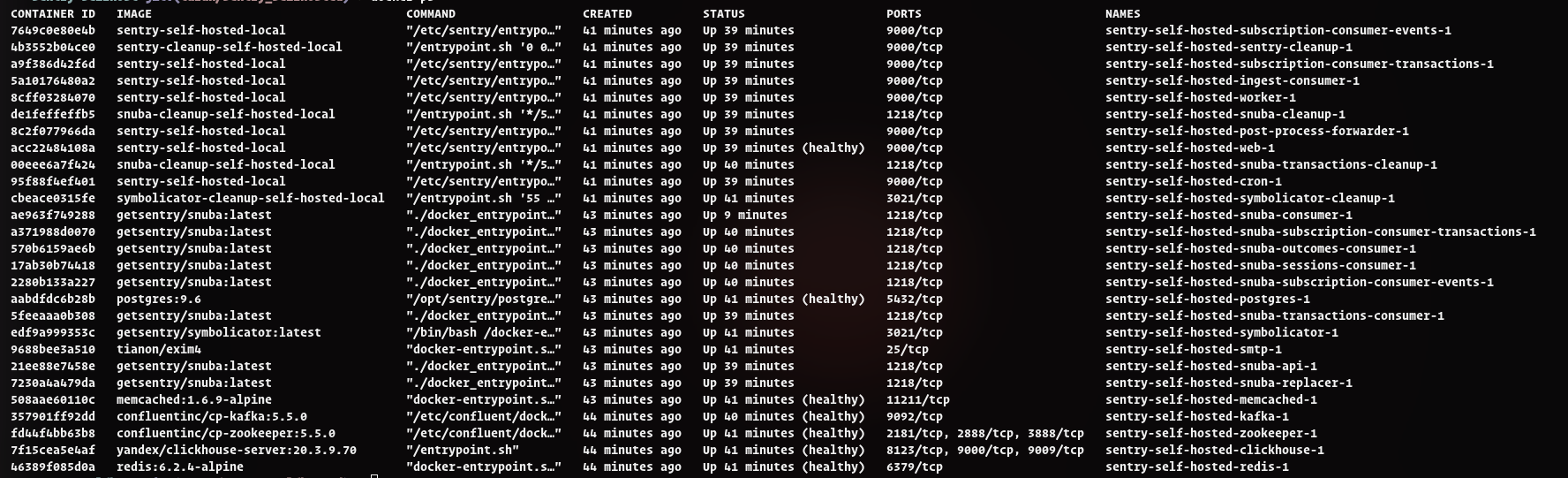 High Cpu and Memory consumption · Issue #1521 · getsentry/self-hosted · GitHub