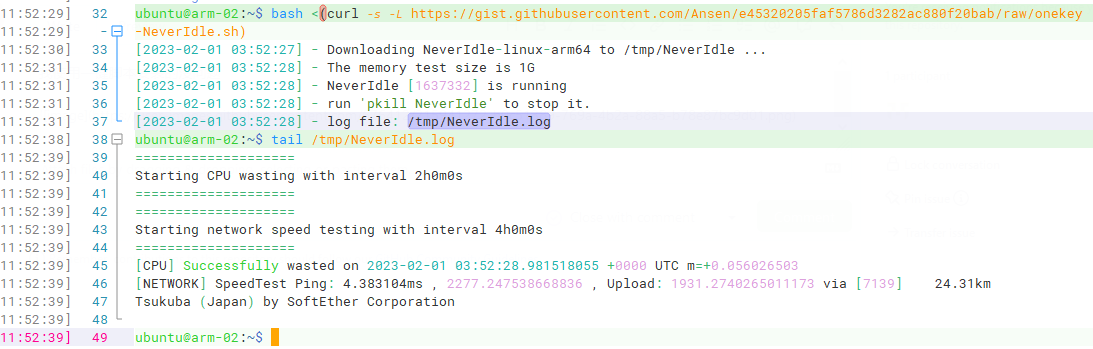 arm机器的测速都是没有显示结果 · Issue #4 · layou233/NeverIdle · GitHub