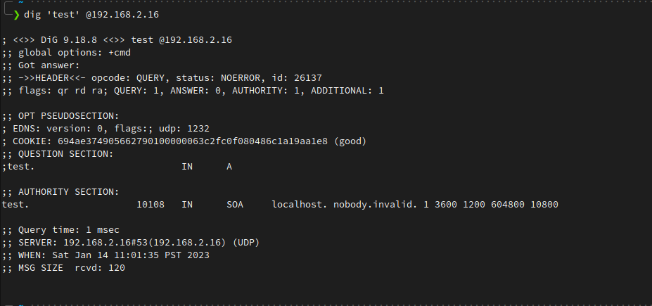 DNS Failure when pointing to a FreeIPA server upstream · Issue #5291 ...
