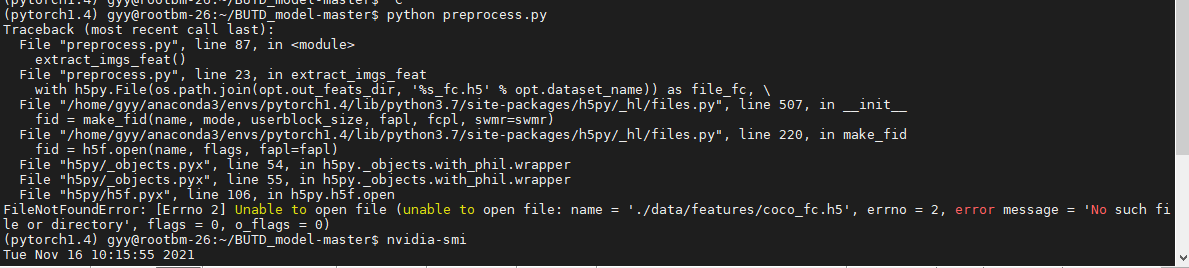 FileNotFoundError: [Errno 2] Unable to open file (unable to open file: name = './data/features ...