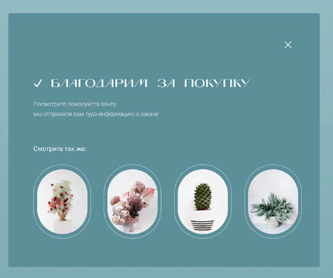 Компонент минимальной карточки товара · Issue #18 · StellRay666s/flora · GitHub