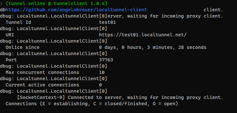 Problems getting localtunnel client work with localtunnel server · Issue #16 · angelobreuer ...