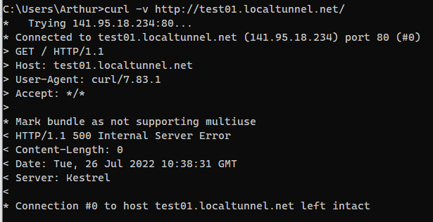 Problems getting localtunnel client work with localtunnel server · Issue #16 · angelobreuer ...