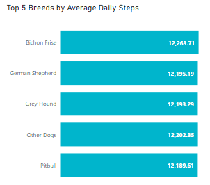 GitHub - qudus-ade/Waggle-BI-Report_Lapdog-vs-Lapcat: Power BI report that tells the story of ...