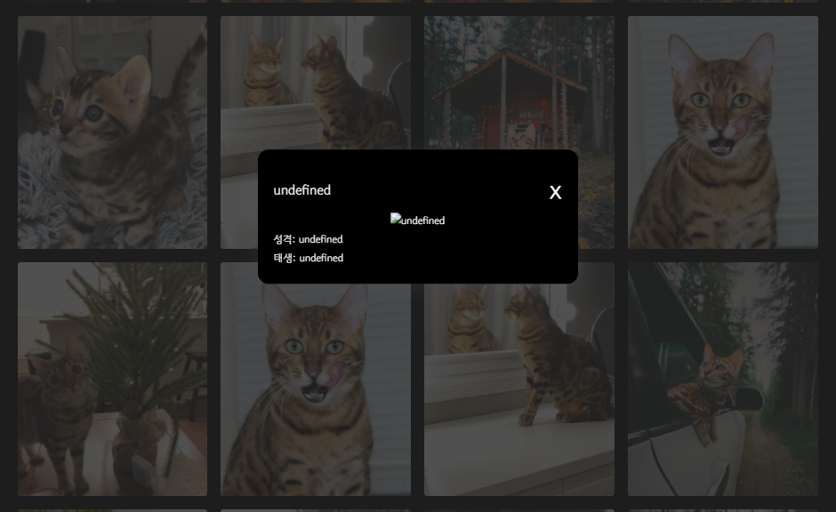 photocat/note/에러 해결 과정/Cannot destructure property.md at main · eunseo-kim/photocat · GitHub