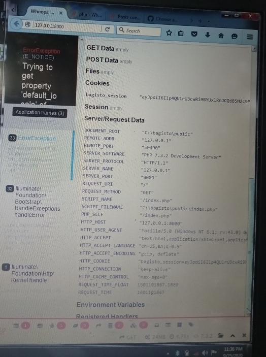 Trying To Get Property Of Non Object · Issue 3967 · Bagistobagisto · Github