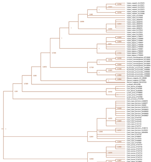 GitHub - OrangePomeranian/genomics_project: Genomic Analysis of Canis lupus with the use of ...