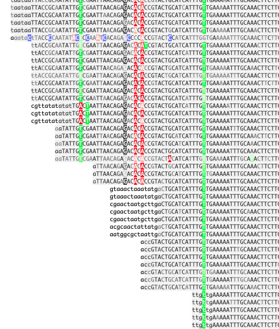'std::out_of_range' at the 'Predicting mutations from evidence...' (08) step of breseq analysis ...