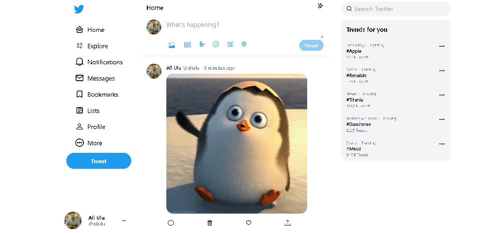 GitHub - aliulu0/twitter-clone