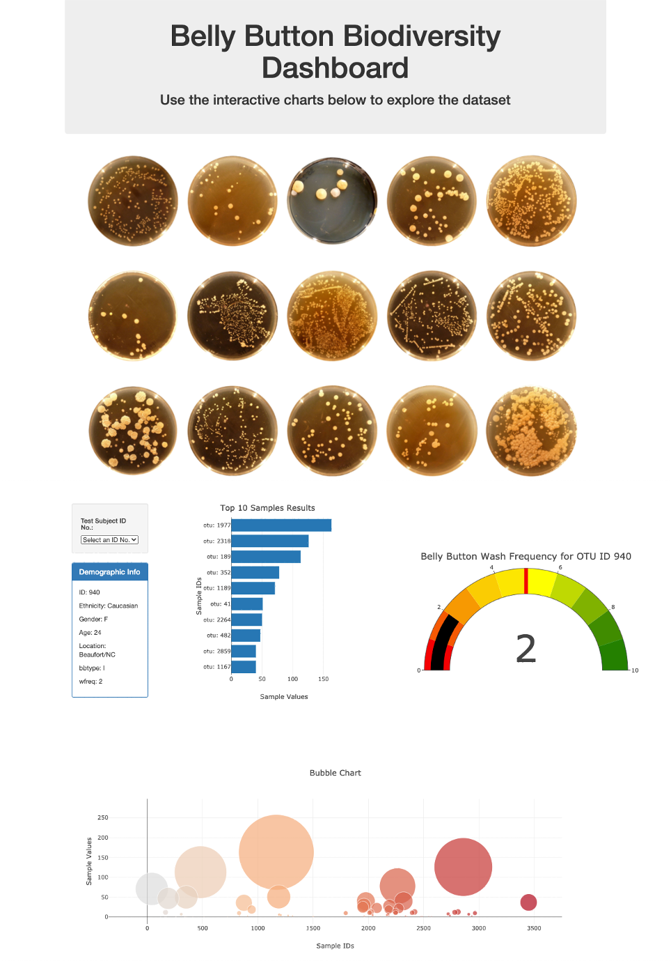 GitHub - vc-adams/Belly_Button_Biodiversity_Dashboard: This is an interactive dashboard that ...