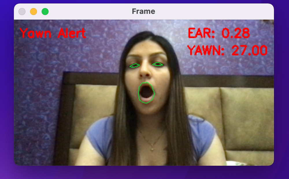 GitHub - anmolika-sood/Driver-Drowsiness-Detection