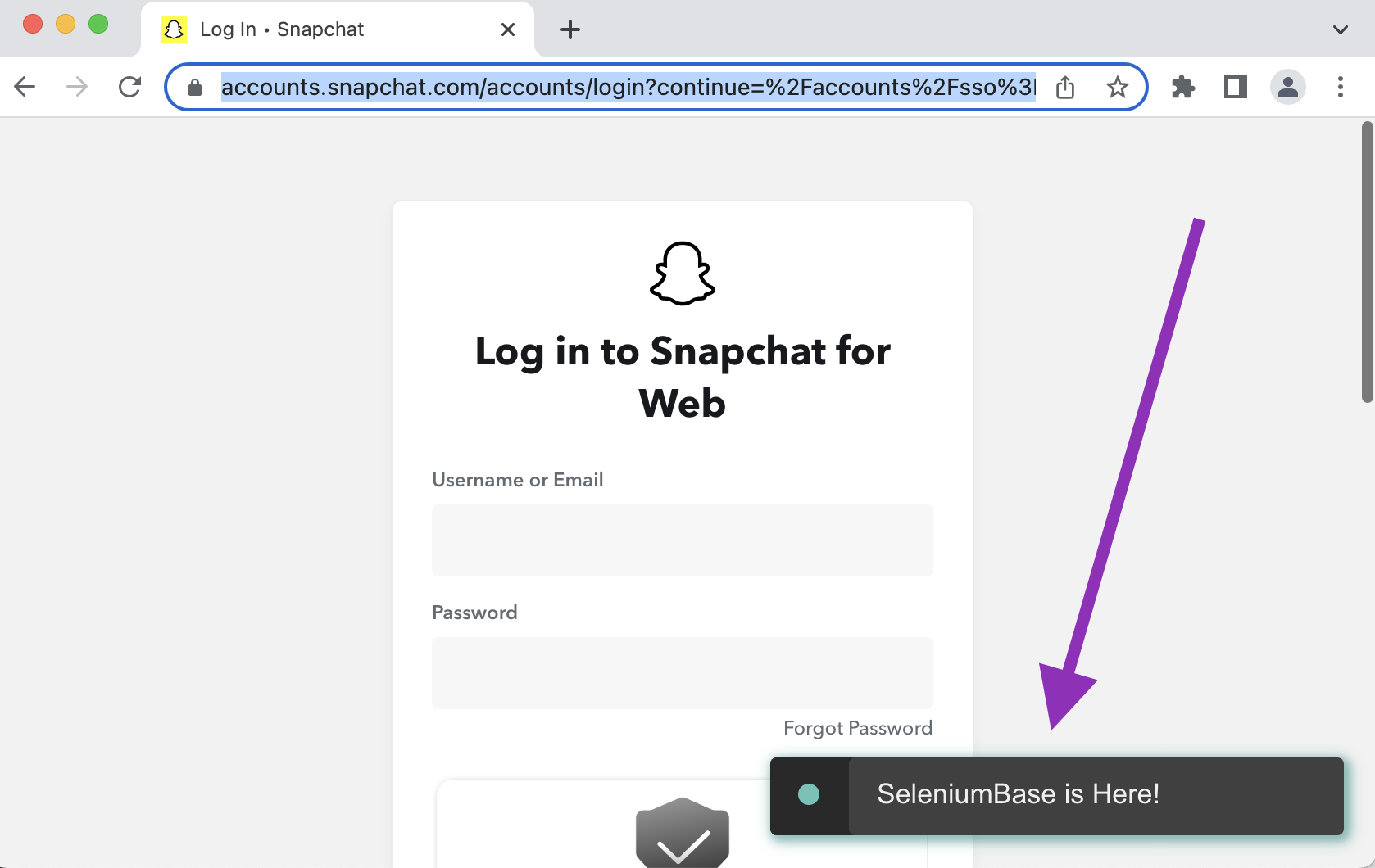 Unable to --disable-csp · Issue #1588 · seleniumbase/SeleniumBase · GitHub